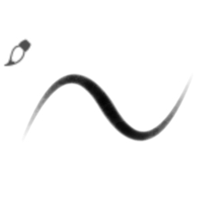 Round Textured brush - CLIP STUDIO ASSETS