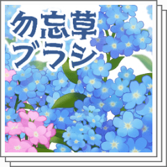 勿忘草ブラシ(48h10cp) - CLIP STUDIO ASSETS