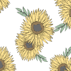Sunflower - CLIP STUDIO ASSETS