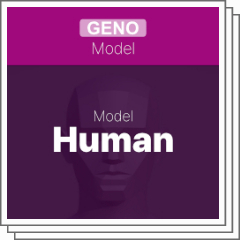 [Geno] Model-Human - CLIP STUDIO ASSETS