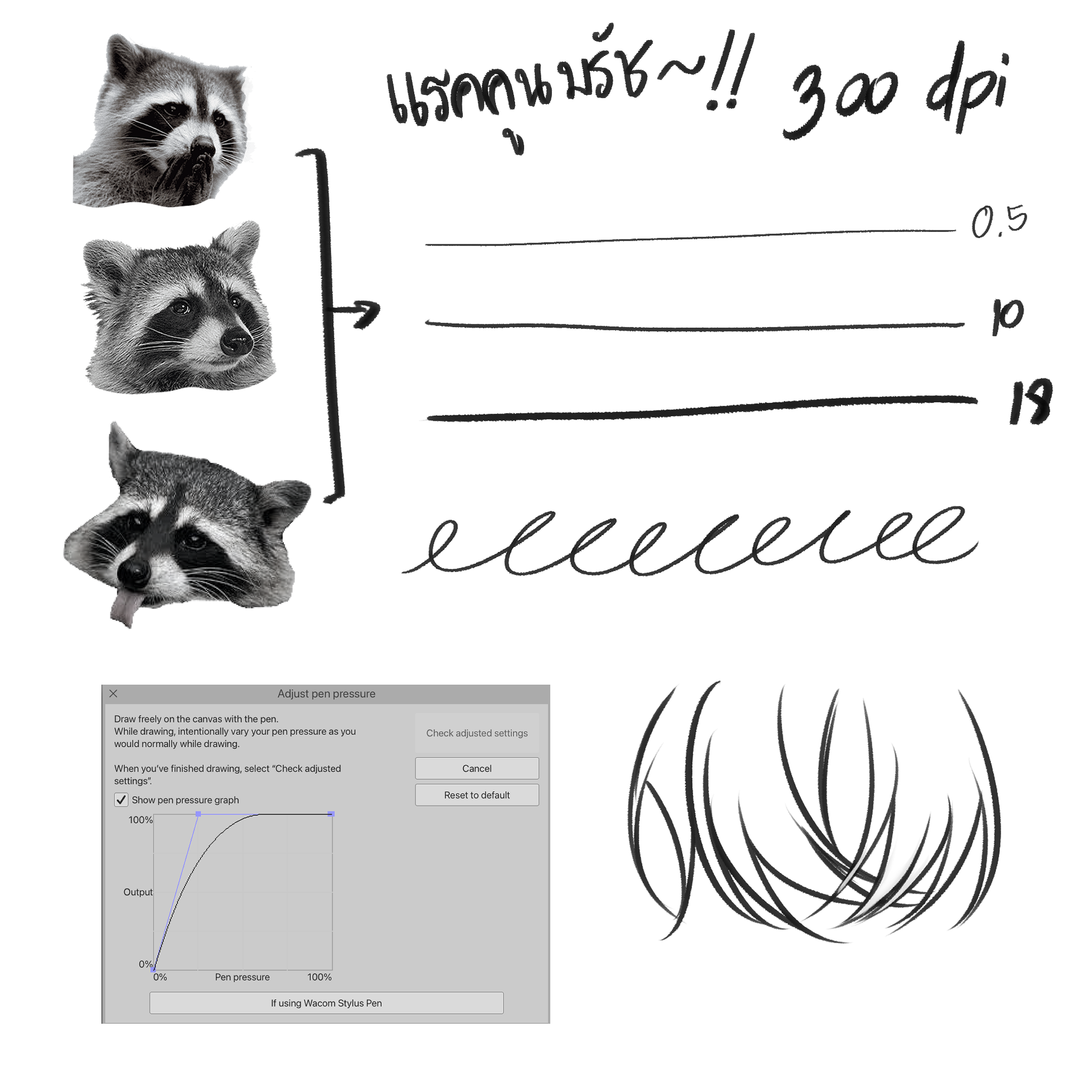 แรคคูนบรัช (Free 48 hr.) - CLIP STUDIO ASSETS