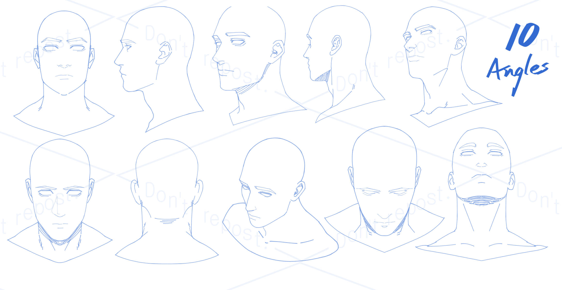 헤드 레퍼런스 - CLIP STUDIO ASSETS