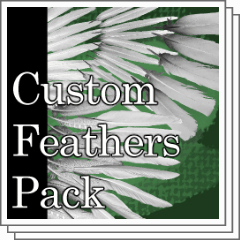Custom Feathers Pack - CLIP STUDIO ASSETS