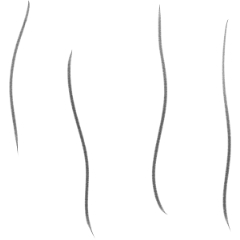 body hair - CLIP STUDIO ASSETS