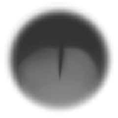 Slit eye - CLIP STUDIO ASSETS