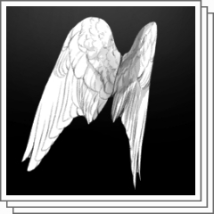 bird wings - CLIP STUDIO ASSETS