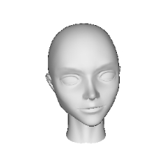 Blend Workout Head Model 211 - CLIP STUDIO ASSETS