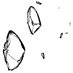 Rubble - CLIP STUDIO ASSETS