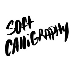 Soft Calligraphy - CLIP STUDIO ASSETS