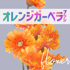 Gerbera 01_ Orange - CLIP STUDIO ASSETS