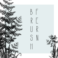 Fern Brush - CLIP STUDIO ASSETS