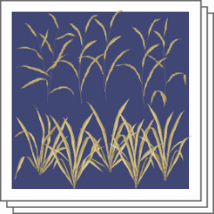 Bacillus subtilis Brush - CLIP STUDIO ASSETS