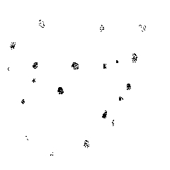 Fill Pen - CLIP STUDIO ASSETS