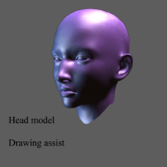 Female Head Model - CLIP STUDIO ASSETS