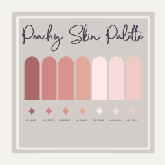 Peachy Skin Palette - CLIP STUDIO ASSETS