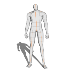 Strong male body type - CLIP STUDIO ASSETS