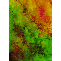 31 - CLIP STUDIO ASSETS