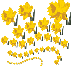 Daffodil Brush and Stamp - CLIP STUDIO ASSETS