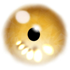 yellow eyes - CLIP STUDIO ASSETS