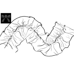 Decoration Frills 5 - CLIP STUDIO ASSETS