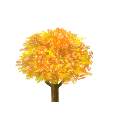 Autumn tree top - CLIP STUDIO ASSETS