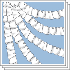 Frill Brush 3 - CLIP STUDIO ASSETS