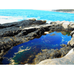 maine 87 - CLIP STUDIO ASSETS