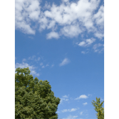 background - CLIP STUDIO ASSETS