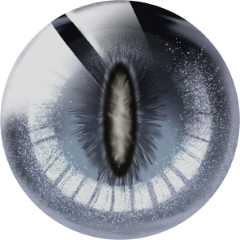 Exclusive Grey Onyx - CLIP STUDIO ASSETS