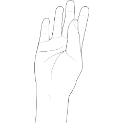 Line art of the greeting hand - CLIP STUDIO ASSETS