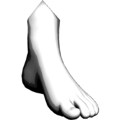 Left Foot - CLIP STUDIO ASSETS