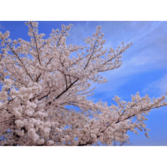 데스크 - CLIP STUDIO ASSETS