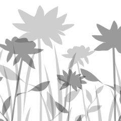 03-Flower. - CLIP STUDIO ASSETS