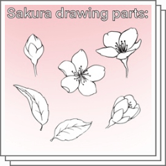 Sakura drawing parts - CLIP STUDIO ASSETS
