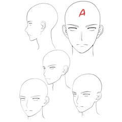 Male Head Base (A) - CLIP STUDIO ASSETS