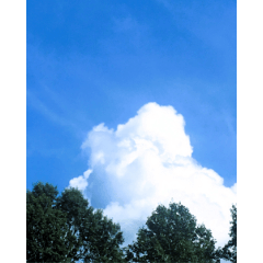 Cool Cumulus 1 - CLIP STUDIO ASSETS