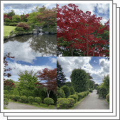 Garden Stock Photos - CLIP STUDIO ASSETS