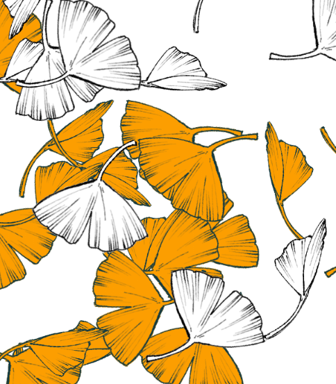 Ginkgo Ginkgo brush - CLIP STUDIO ASSETS