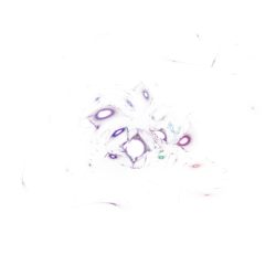 Brush PTS - CLIP STUDIO ASSETS