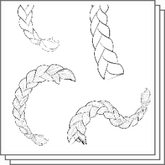 Braids - CLIP STUDIO ASSETS