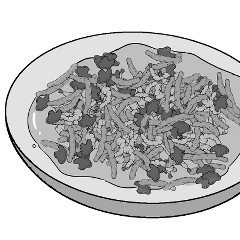 Tangsu _Gray scale - CLIP STUDIO ASSETS