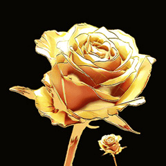 A flower 2 - CLIP STUDIO ASSETS