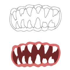 Monster teeth kit drawing and colo - CLIP STUDIO ASSETS