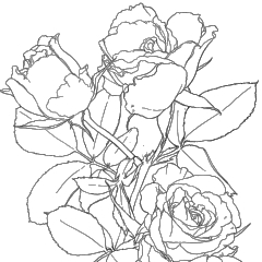 バラ1 - CLIP STUDIO ASSETS