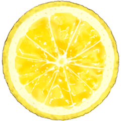 Lemon slices - CLIP STUDIO ASSETS