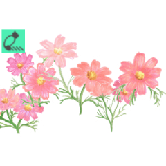 Daisy brush - CLIP STUDIO ASSETS