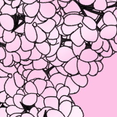 flower - CLIP STUDIO ASSETS