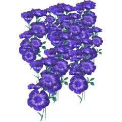 Lavin flower - CLIP STUDIO ASSETS