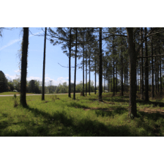 IMG_0435 - CLIP STUDIO ASSETS