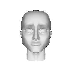 Blended Comp Head Model 7 - CLIP STUDIO ASSETS